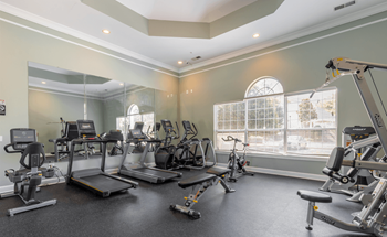 Alexander Ridge Apartments, 102 Alexander Drive, Canton, GA - RentCafe