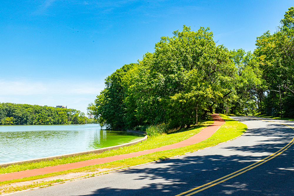 Sol At Vermella Union Apartments, 4 Vermella Way, Union, NJ - RentCafe