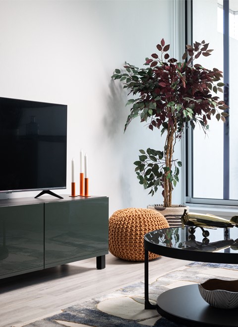 Maddox Cabbagetown Apartments, 191 Sherbourne, Toronto, ON - RentCafe