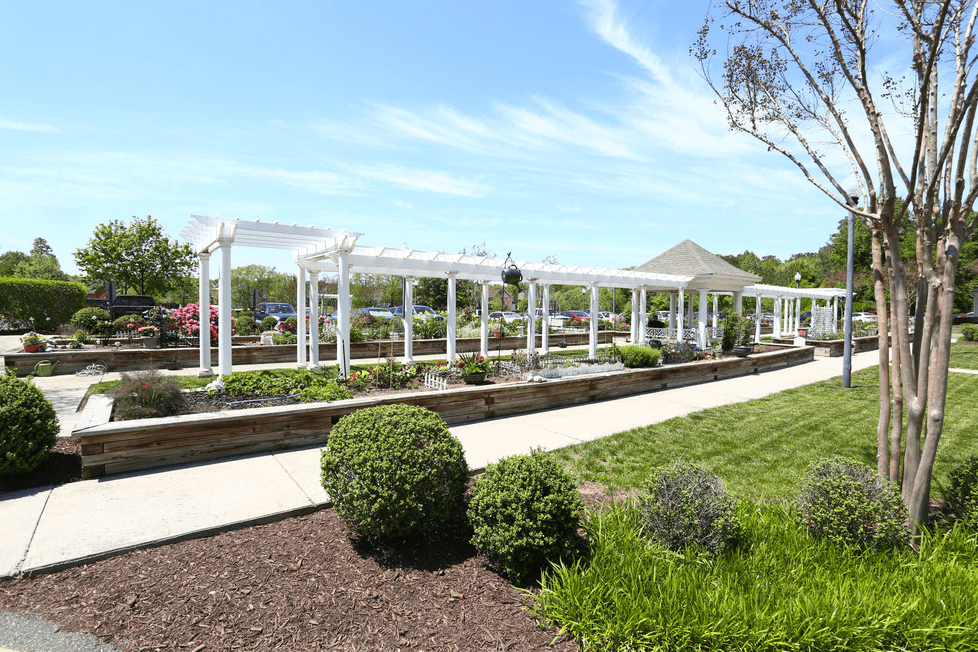 Chester Village Senior Apartments, 11701 Chester Village Dr, Chester ...