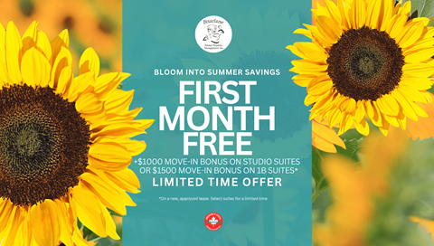 Studio Apartments for Rent in Toronto, ON - Updated Daily