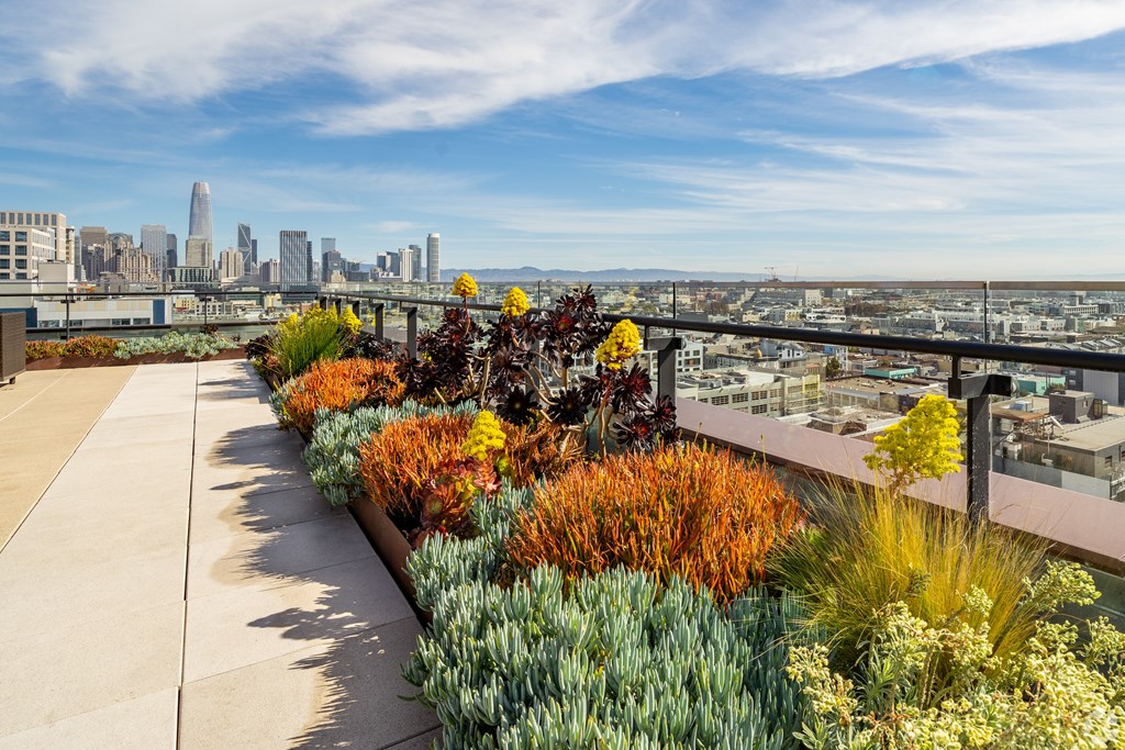 Olume Apartments, 1401 Mission St, San Francisco, CA - RentCafe