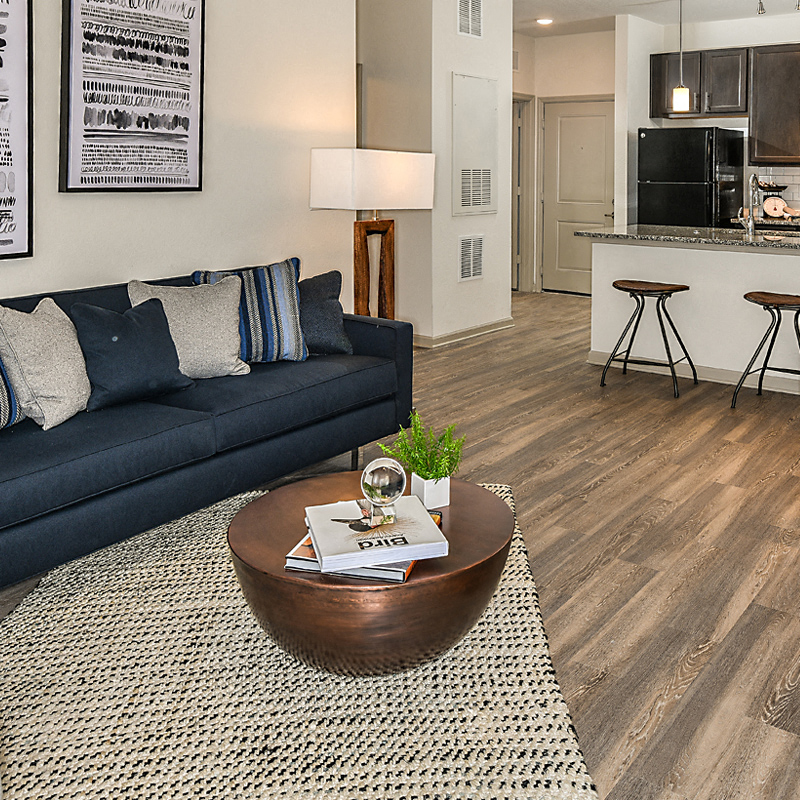 Dunedin Commons Apartments, 2701 Dunedin Commons Place, Dunedin, FL ...