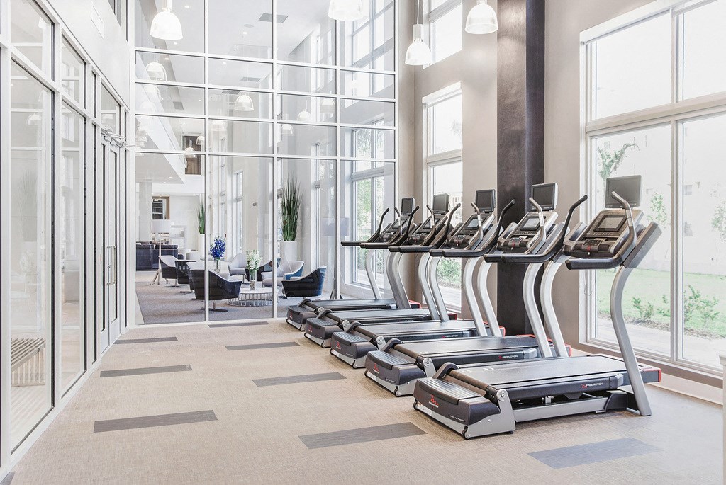 The Palmer Dadeland Apartments, 8215 SW 72nd Ave, Miami, FL - RentCafe