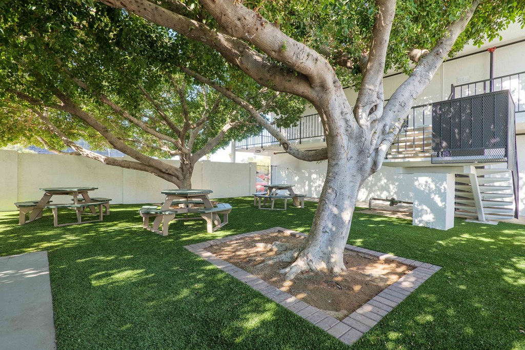 Mezona On Main Apartments, 250 West Main Street, Mesa, AZ - RentCafe