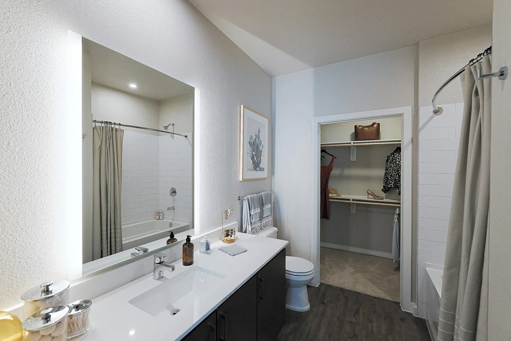 Lucent Apartments, 12201 Dessau Rd, Austin, TX - RentCafe