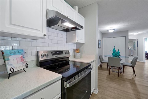 ARIUM Lakeview Apartments, 1024 Vizcaya Lake Road, Ocoee, FL - RentCafe