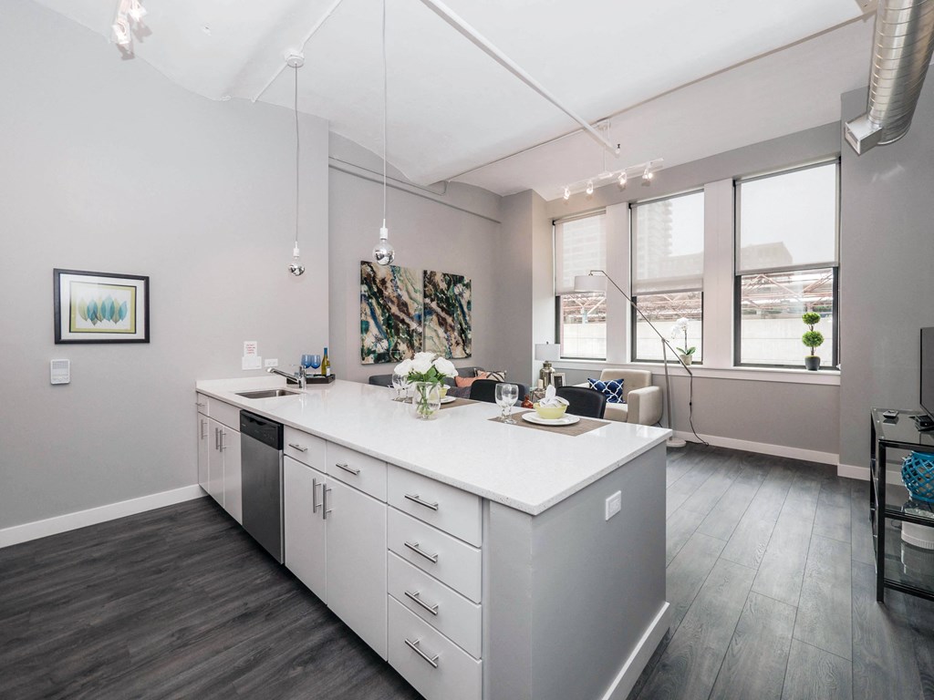 Library Lofts Apartments, 619 S. LaSalle St., Chicago, IL - RentCafe
