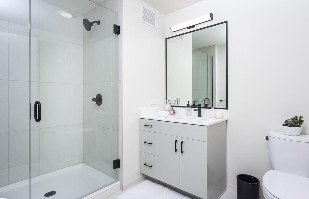 Millie On Michigan - Chicago, Illinois | Renter Insights
