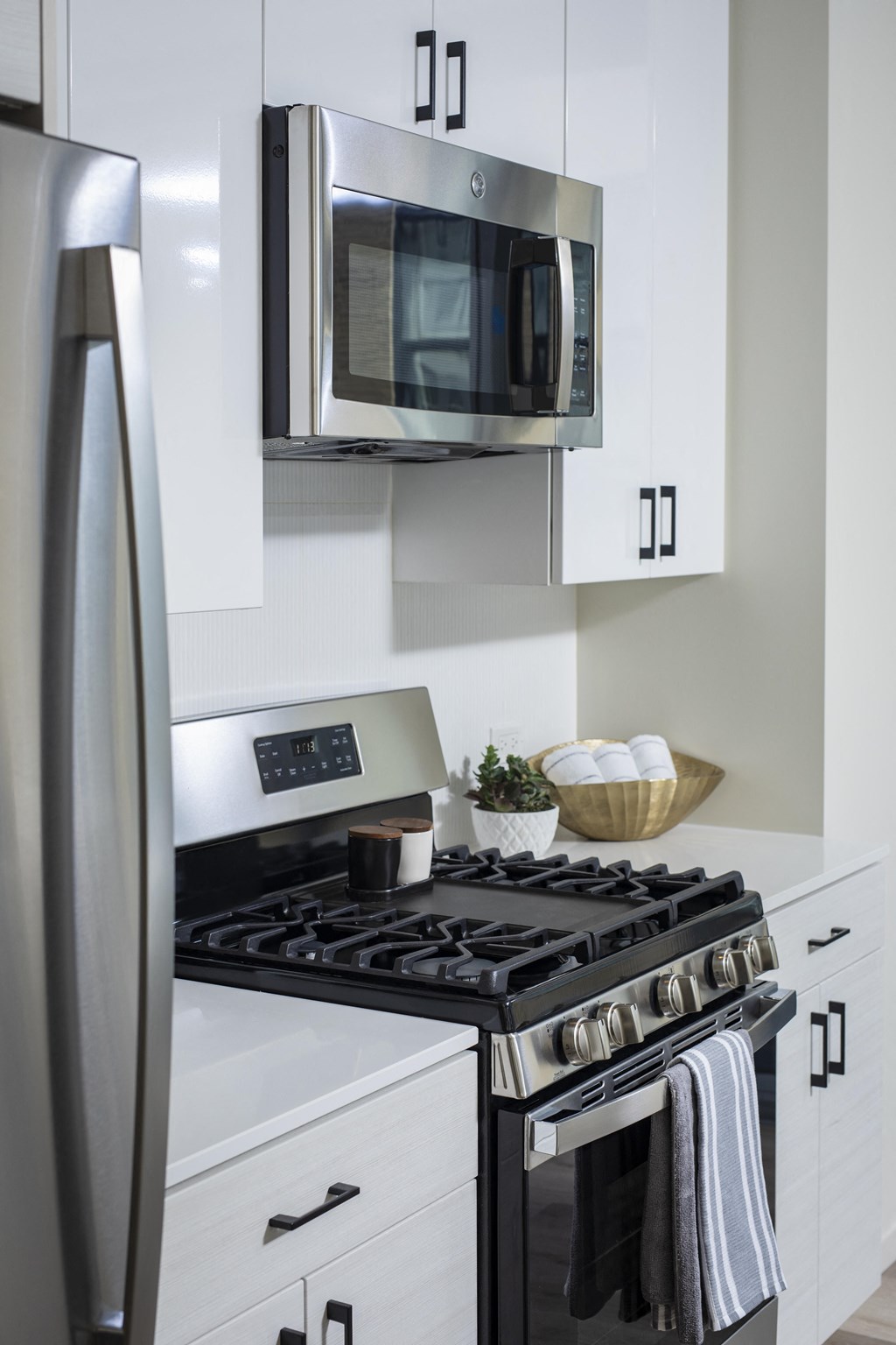 Millie On Michigan - Chicago, Illinois | Renter Insights