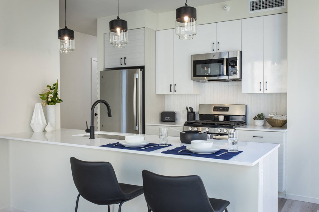 Millie On Michigan - Chicago, Illinois | Renter Insights