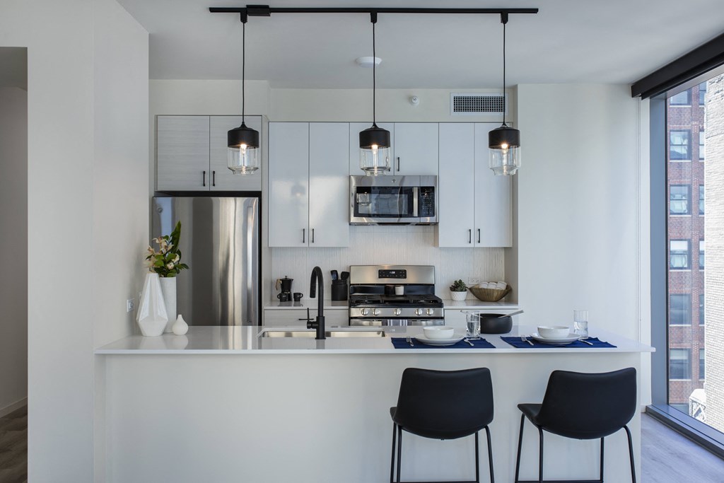 Millie On Michigan - Chicago, Illinois | Renter Insights