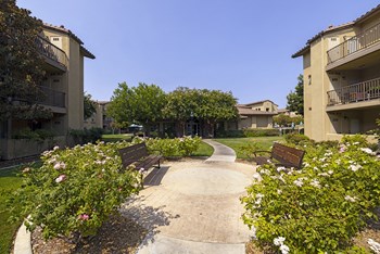 55+ FountainGlen Stevenson Ranch Apartments, 25536 Fountain Glen Court ...