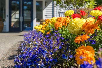 Parker Landing Apartments, 4600 Davis Avenue South, Renton, WA - RentCafe