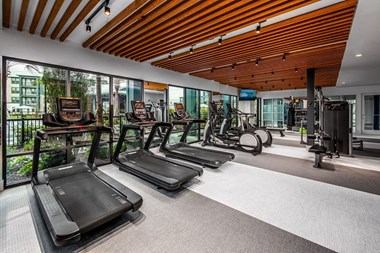 1 Bedroom Apartments for Rent in Florida: 4,848 Rentals – RentCafe