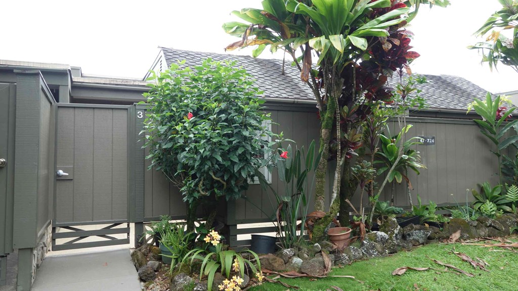 47-724 Hui Kelu Street #3 Rentals - Kaneohe, HI - RentCafe