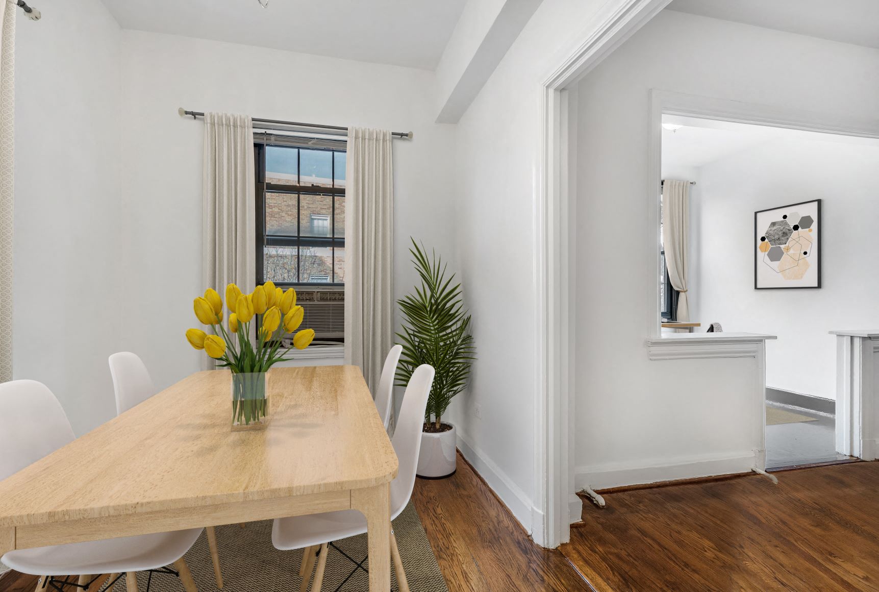 Studio Apartments for Rent in Washington, DC - Updated Daily