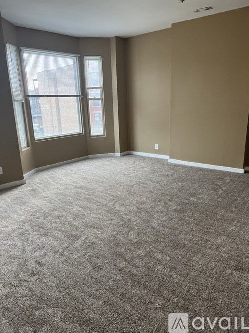 4334 South Langley Avenue, Unit 2 - Chicago, IL