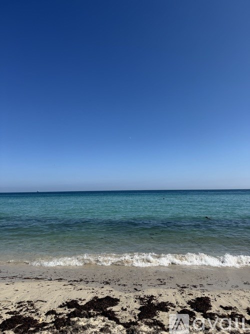 301 Ocean Dr, Unit 509 - Miami Beach, FL