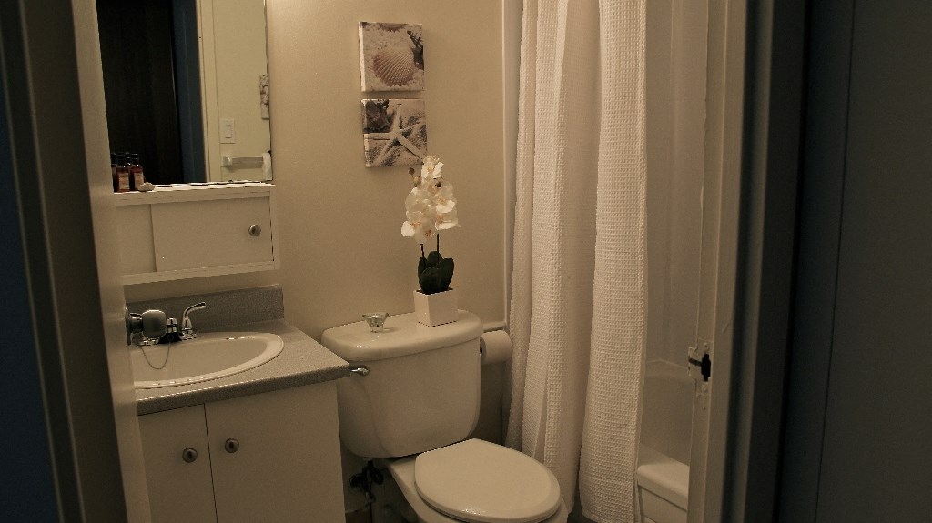 100 Boteler Street Rentals - Ottawa, ON - RentCafe