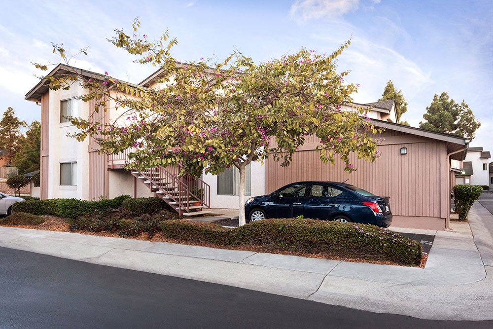 Photos and Video of Palm Terrace in San Diego, CA