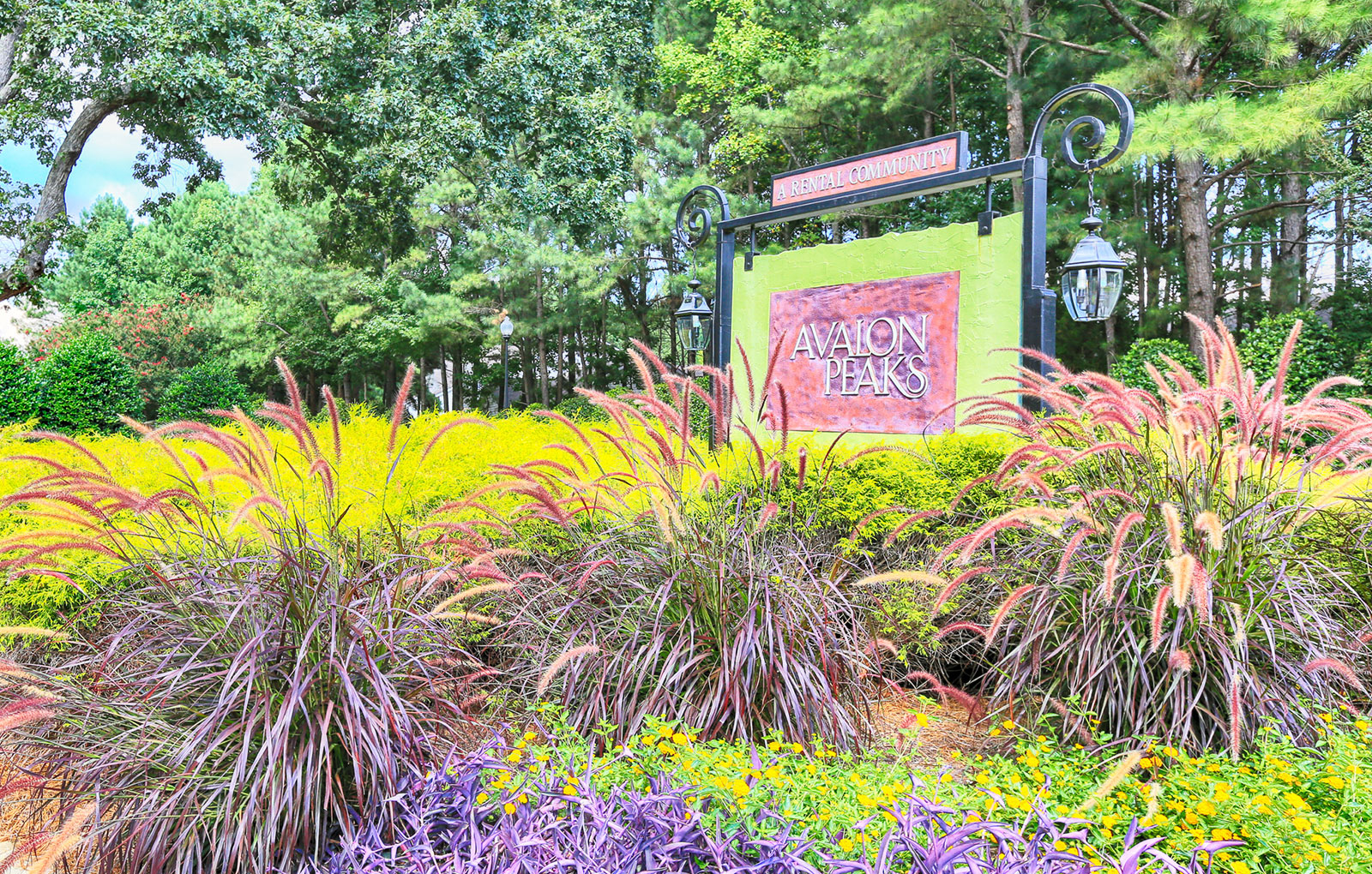 Avalon Peaks | Apartments in Apex, NC