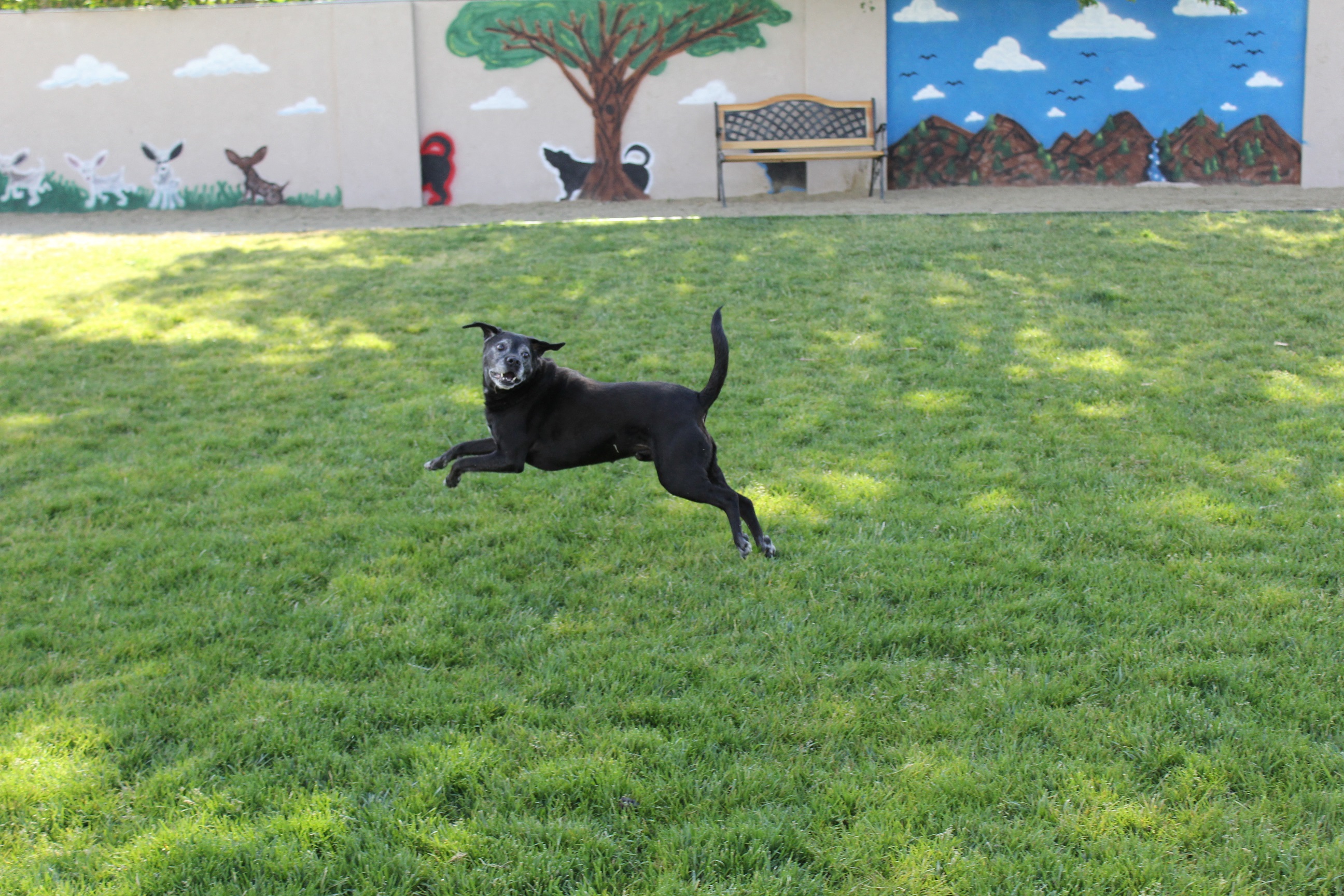 Carson Catalina Apartments | Apartments in Carson City, NV