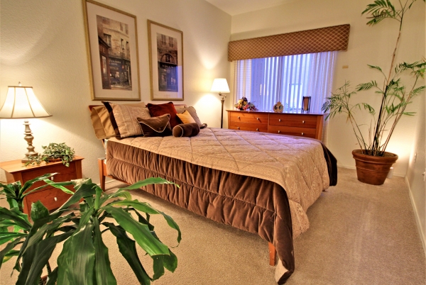 Indigo Springs | Apartments in Mesa, AZ